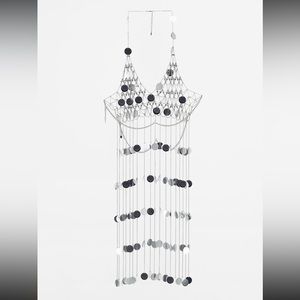 Zara | Tops | Zara Limited Edition Fringe Sequin Top | Poshmark